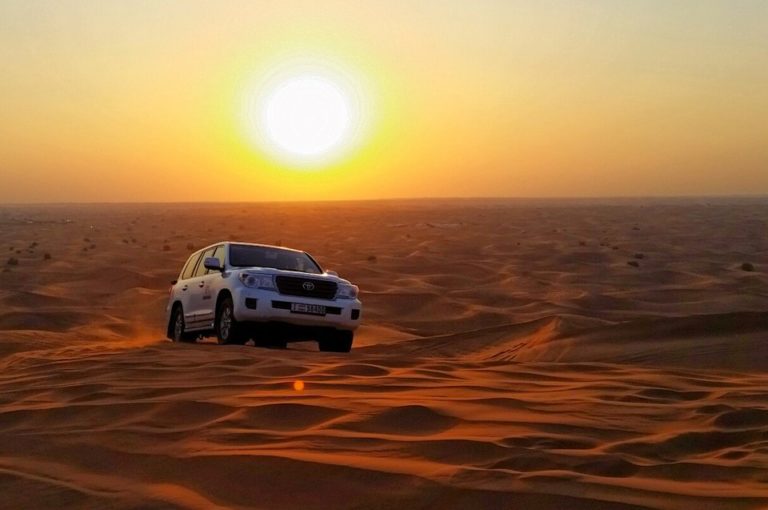 Morning Safari | Lilas Tourism