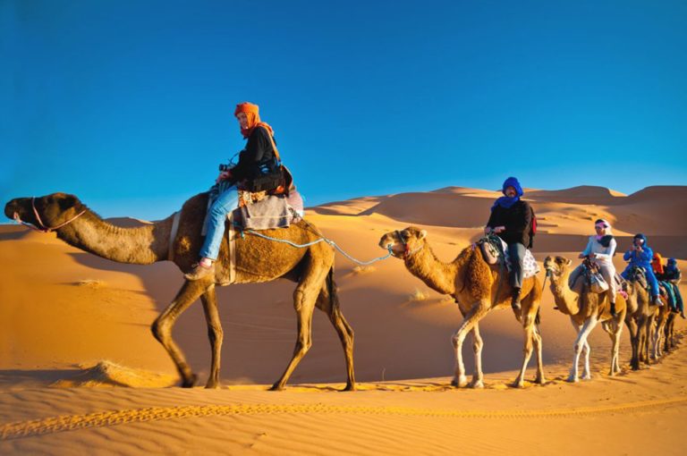 Morning Safari | Lilas Tourism